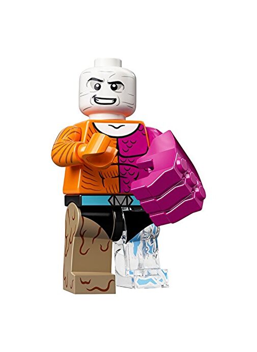 Lego Minifigures 71026 Dc Super Heroes Series : 12.Metamorpho ...